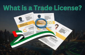 Comprehensive Guide to Obtaining a Trade License in Dubai | Astral Space